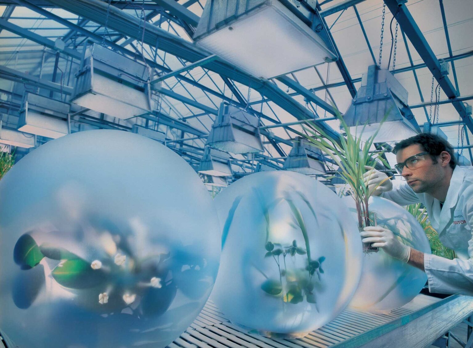 Contactanos - Asuntos Científicos Bayer Crop Science